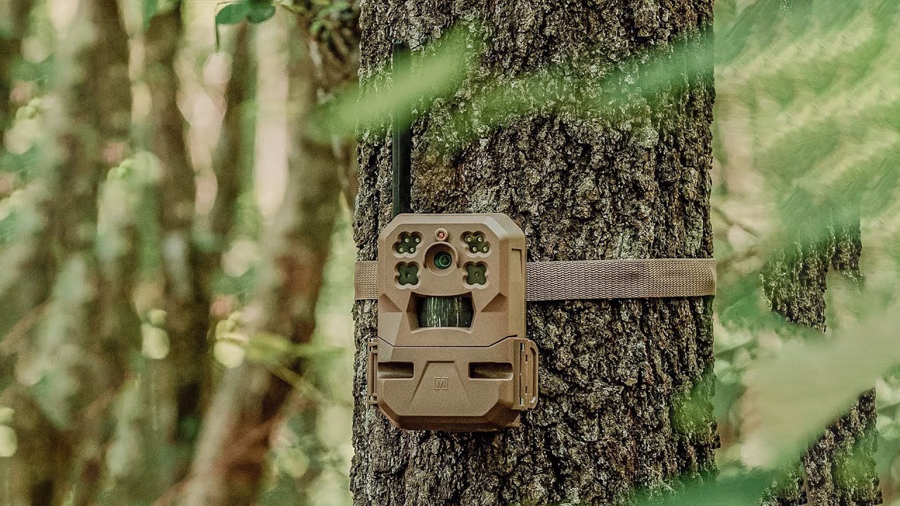 Review: Moultrie Mobile Edge Cellular Trail Camera - YouTube