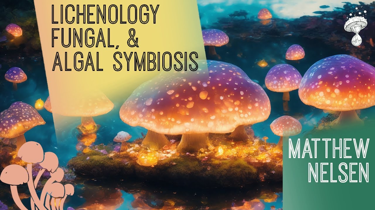 Lichenology - Biodiversity and Evolution of Fungal, Algal Symbiosis ...