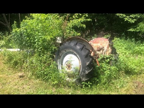 Abandoned Ford 8n Tractor Sitting For 15 Years Will It Start?