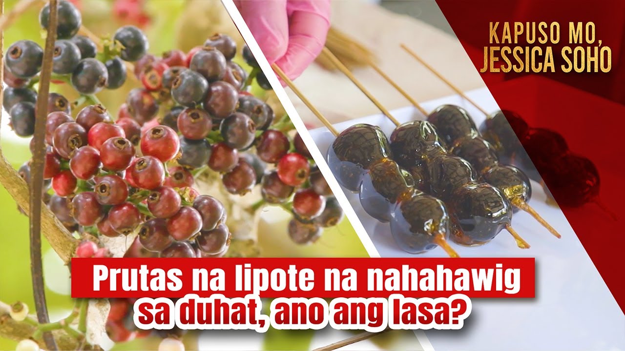 Prutas na lipote na nahahawig sa duhat, ano ang lasa? | Kapuso Mo ...