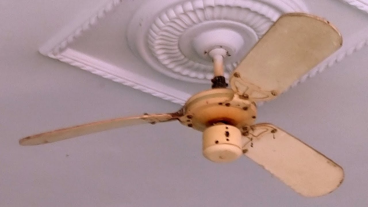 Unknown 36" spinner ceiling fan - YouTube