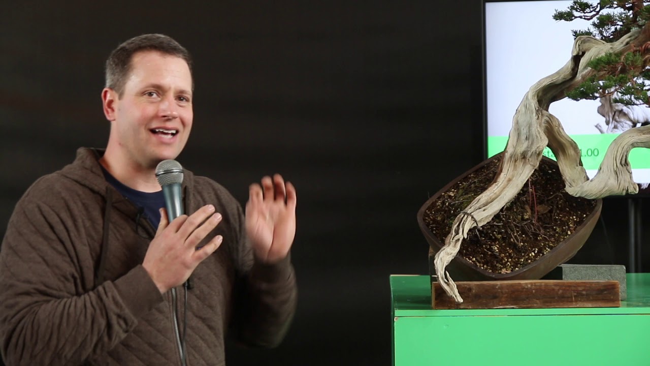 Repotting strategy by Ryan Neil - YouTube