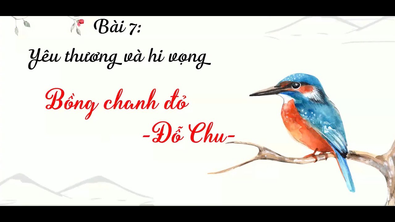 [PHẦN 1/2] BÀI 7: BỒNG CHANH ĐỎ - ĐỖ CHU | NGỮ VĂN 8 - CHÂN TRỜI SÁNG ...