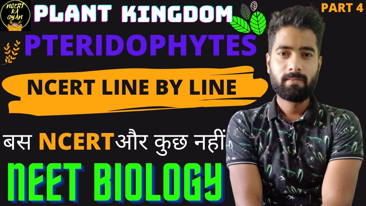 Pteridophytes||Plant kingdom||Class 11th biology NCERT chapter 4||NEET ...