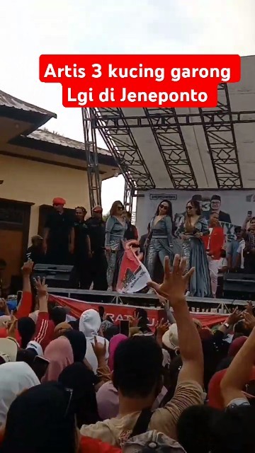 3 kucing garong - YouTube