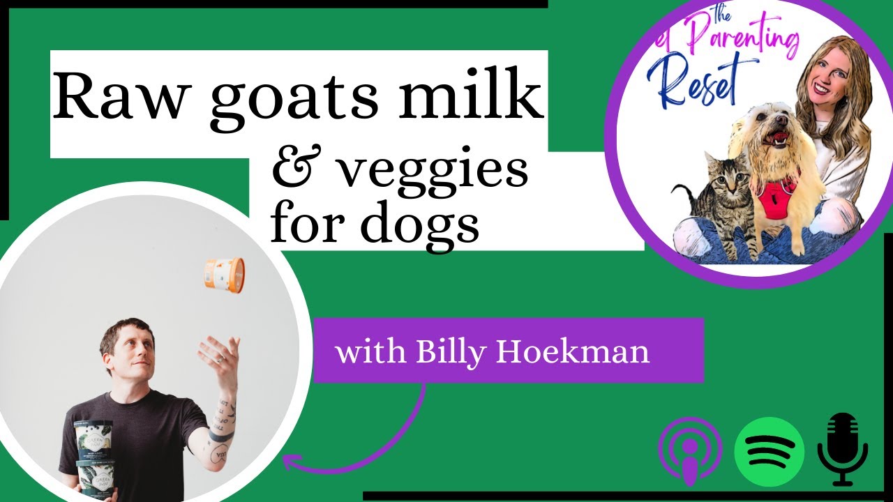 Dog Nutrition Raw Goats Milk & Vegetables, with Billy Hoekman - YouTube