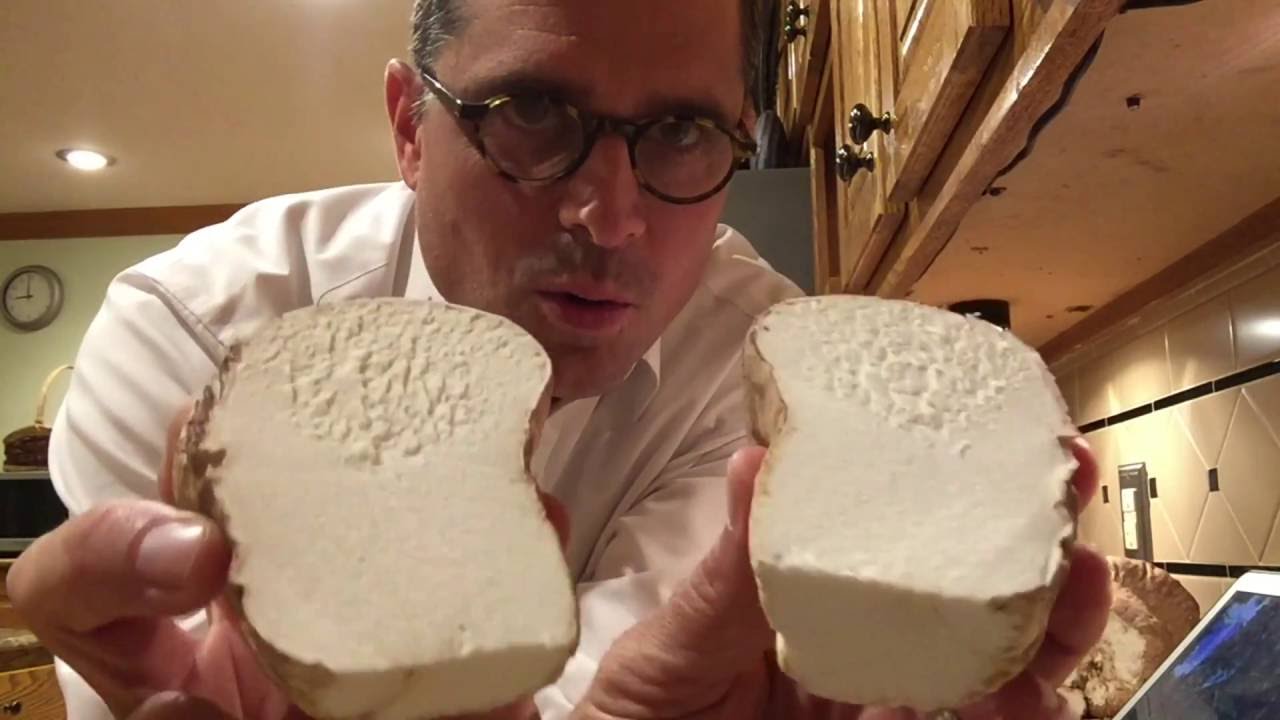 Huge Wild Edible Mushrooms in Our Yard - Purple Spored Puffballs - YouTube