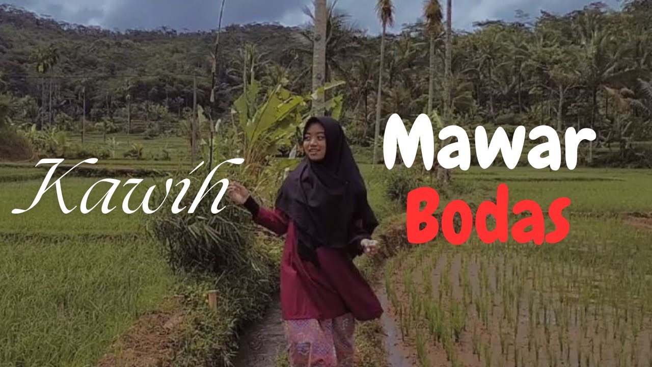 MAWAR BODAS - YouTube
