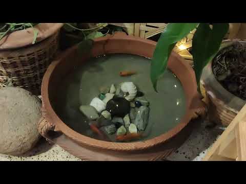 Pinewood Cafe | Banani - YouTube