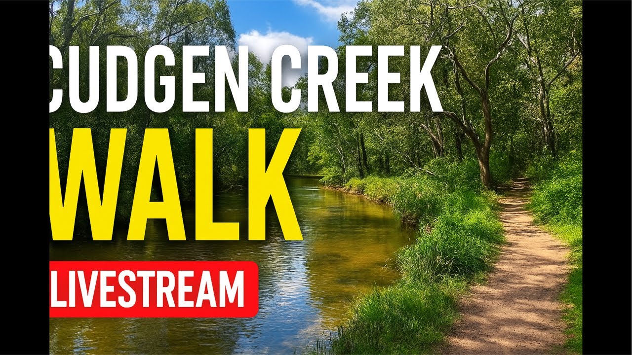 🌊 Stunning Cudgen Creek Walk | Scenic Coastal Livestream Adventure ...