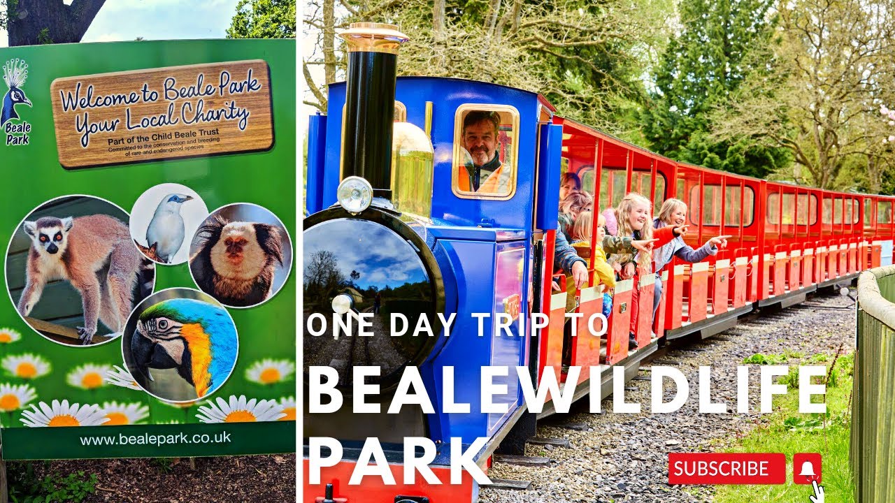 A Day Trip to Beale wildlife park, Reading. - YouTube