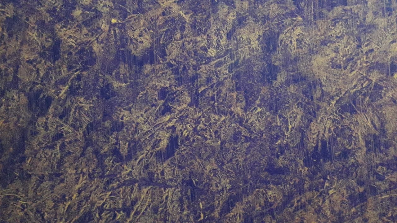 How To Wall Ragging Effect | Full tutorial for beginners - YouTube