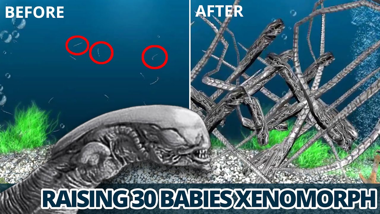 30 BABIES XENOMORPH FROM BABY TO ADULT. Feeding 30 Xenomorph [Part 2 ...