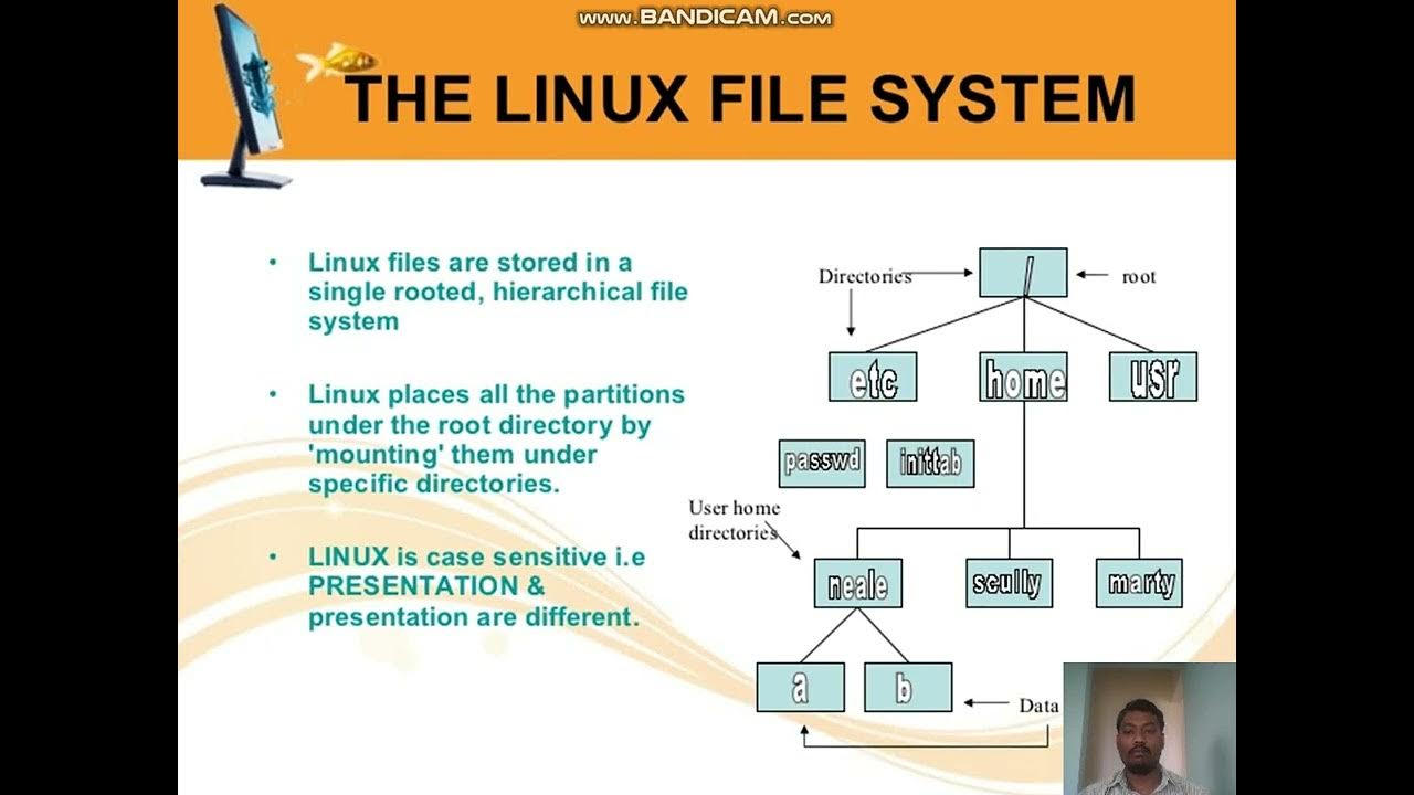 Handling files and directory's - YouTube