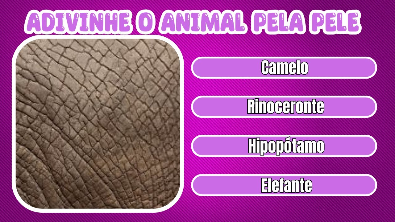 Adivinhe qual é o animal apenas pela pele - YouTube