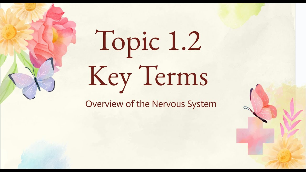 AP Psychology 2025| Overview of the Nervous System 1.2| Key Terms| Key ...