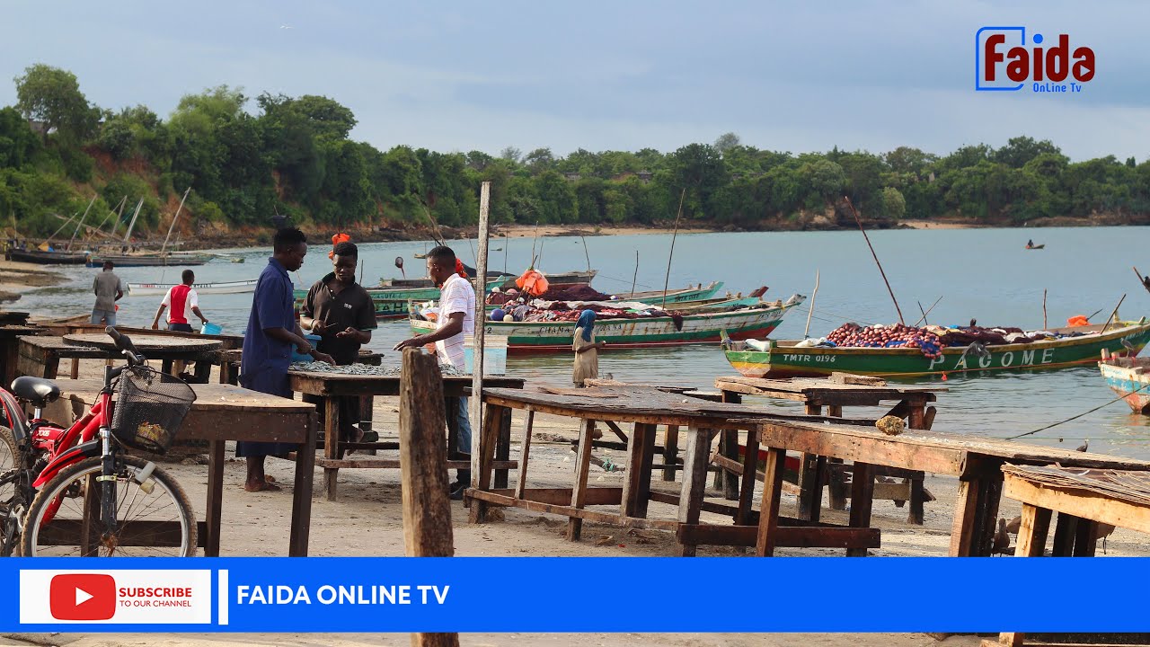 KIMBUNGA HIDAYA CHANZO KUADIMIKA KWA SAMAKI MTWARA | FERI PAKAVU - YouTube