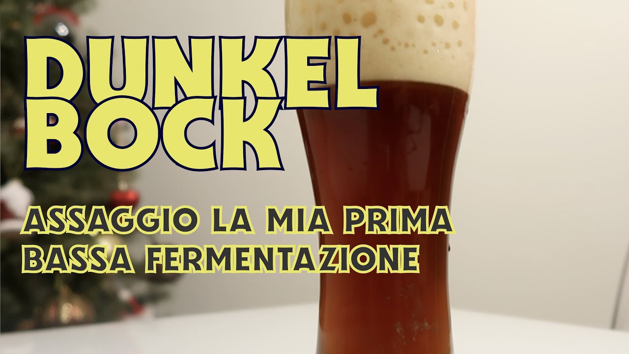 Assaggio Dunkel Bock - prima bassa fermentazione in fast lager - YouTube
