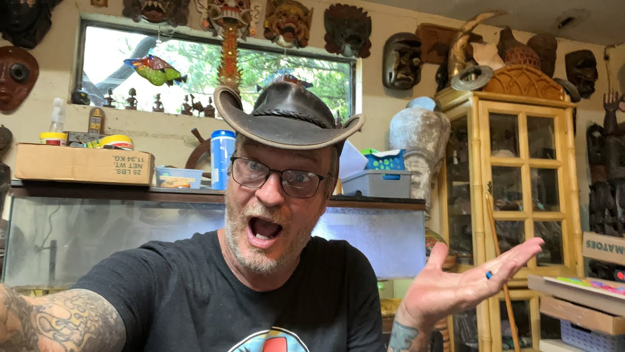 Get Swamped Live BOXING - YouTube