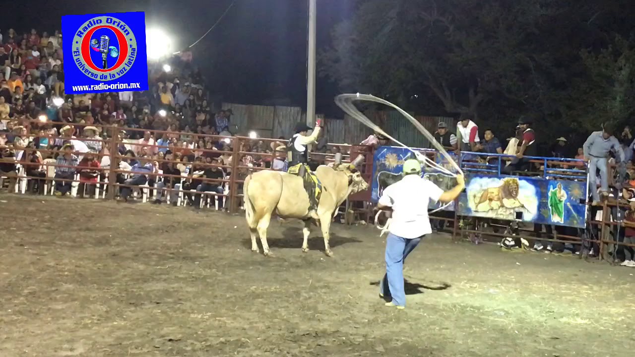 Monta de toro - YouTube