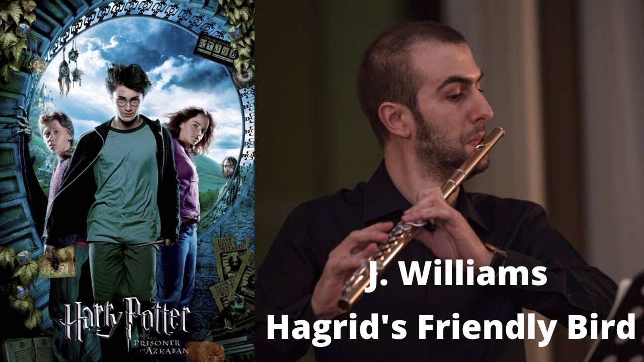 Hagrid's Friendly Bird - Flute Excerpts | Stefano Casini, flute - YouTube
