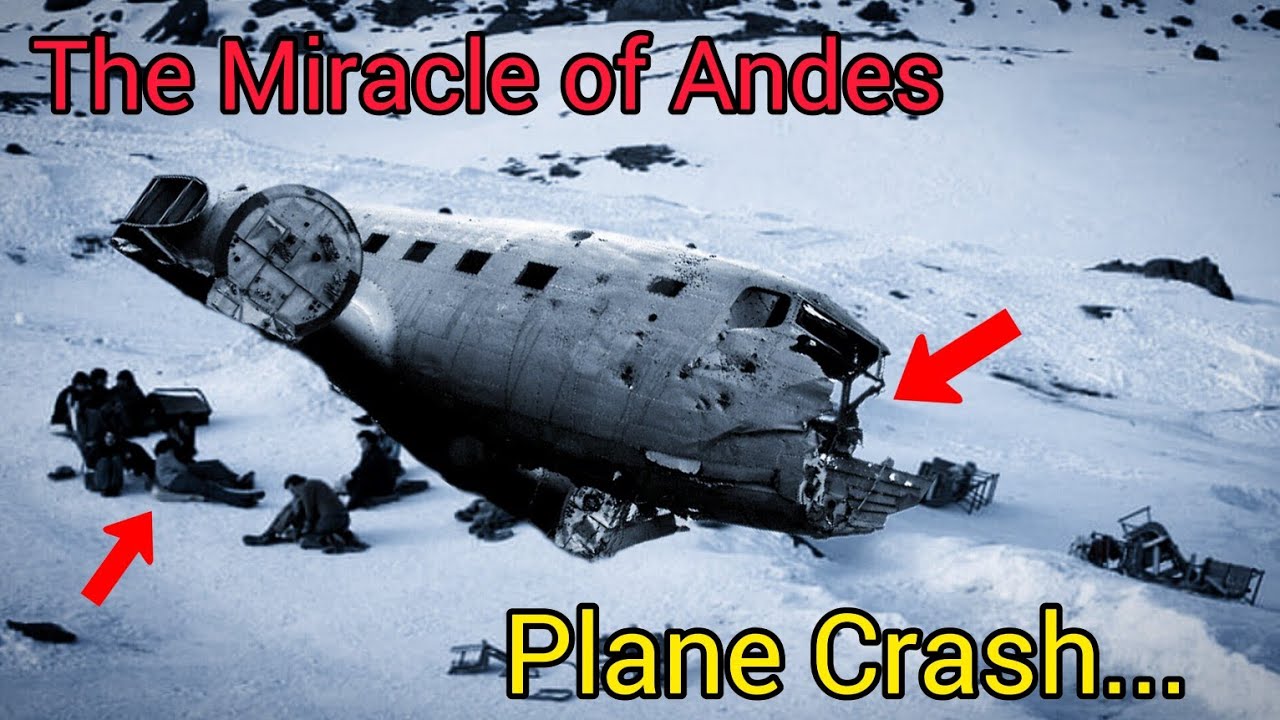 The Miracle of Andes Plane Crash || Andes Plane Crash Survivor || Such ...