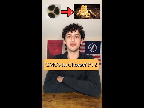 Gentechnisch verändertes Lab in 90% des amerikanischen Käses?! Teil 2