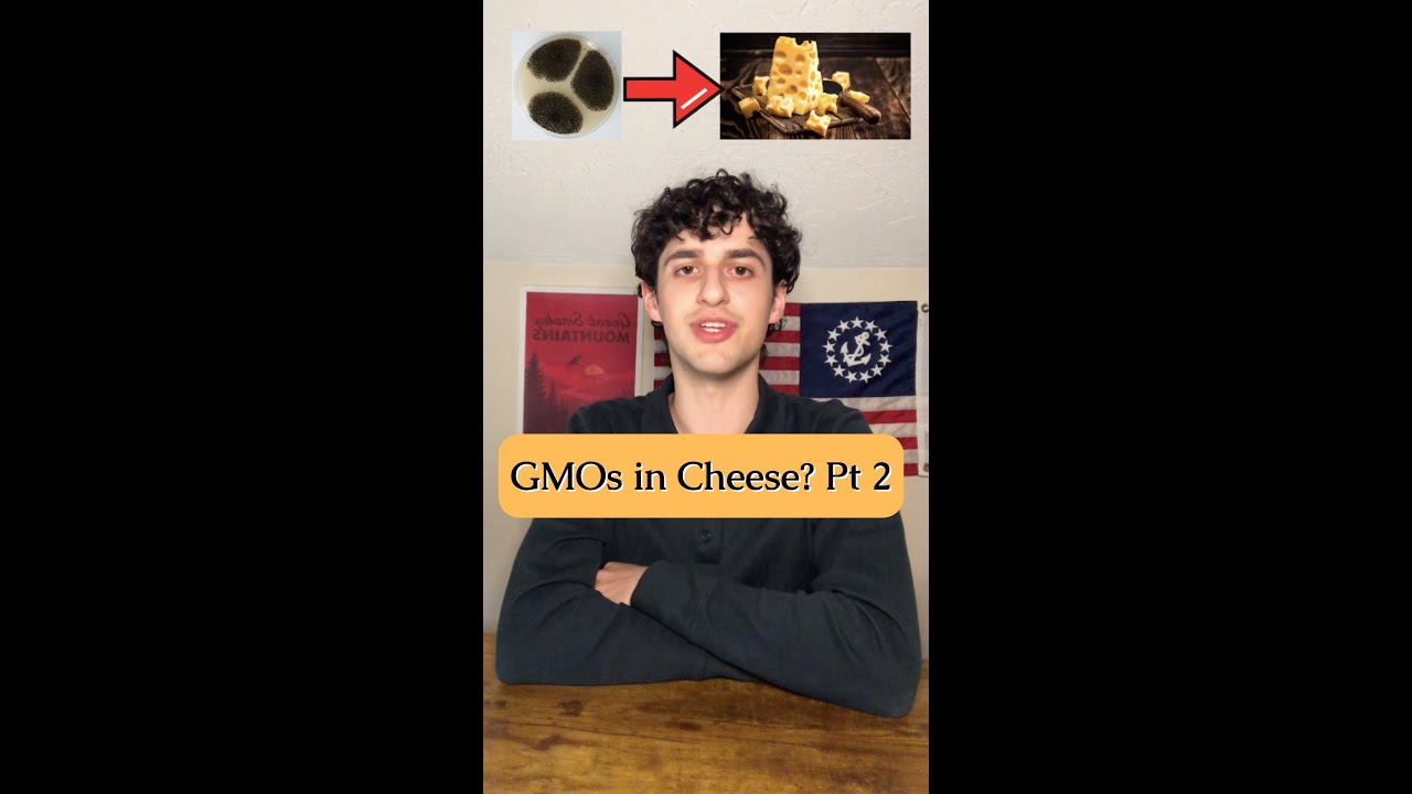 GMO Rennet in 90% of American Made Cheese?! Pt 2 - YouTube