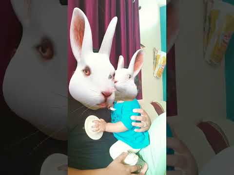 Chittiyan kalaiyan ve song rabbit dance funny 🤣 🤣 video 🔥🔥🔥🔥🔥🔥🔥 #shorts #trending