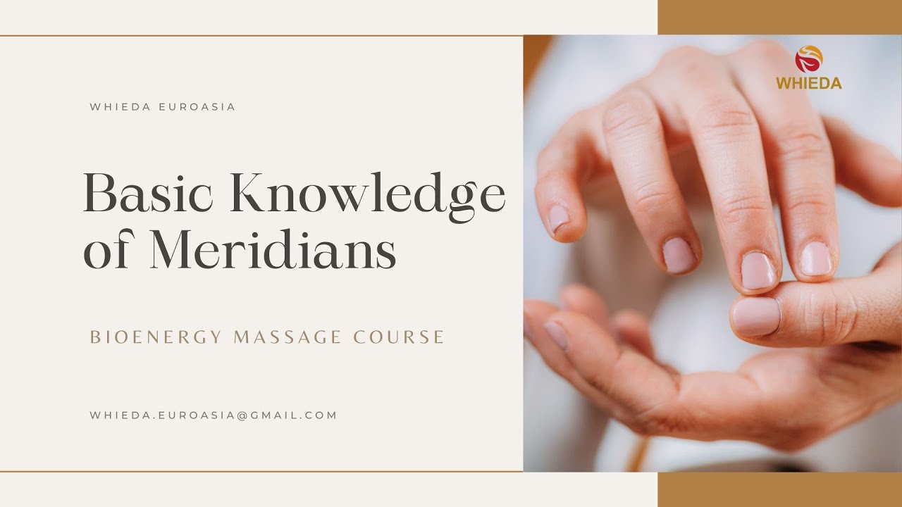 Bioenergetic Massage Course | Lesson 1. Basic Knowledge About Meridians ...