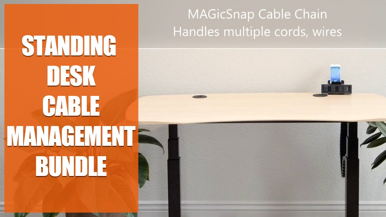 MojoDesk | Standing Desk with Cable Management Bundle | Adjustable Sit ...