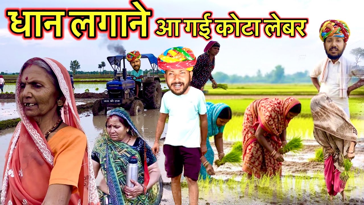 कोटा के मजदूर आ गए धान लगाने // Dev RJ20// राजस्थानी कॉमेडी वीडियो ...