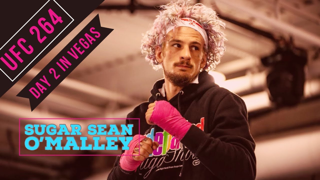 UFC 264 Day 2 in Vegas - Sugar Sean O’Malley - YouTube