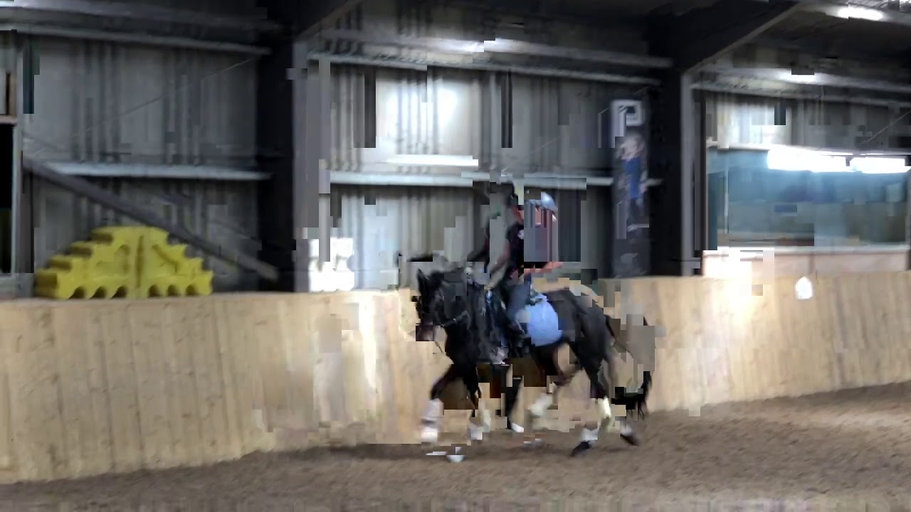 Dippie Flashy Flatwork - YouTube