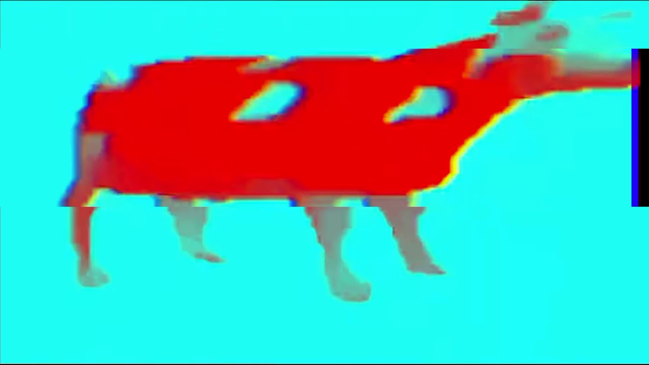 A polish cow meme parody - YouTube