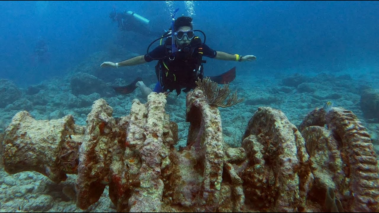Scuba Diving in Key Largo - Logan's Run Reef (GoPro HERO8) - YouTube