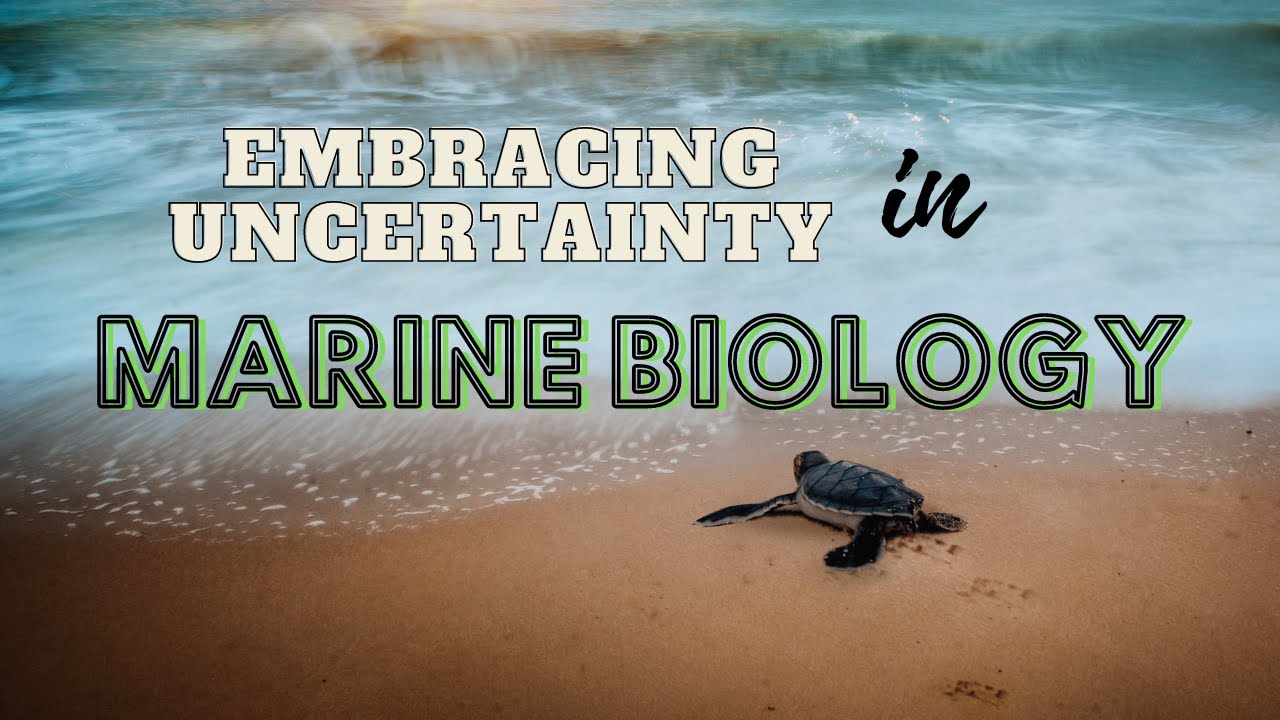 Embrace uncertainty in a marine biology career - YouTube