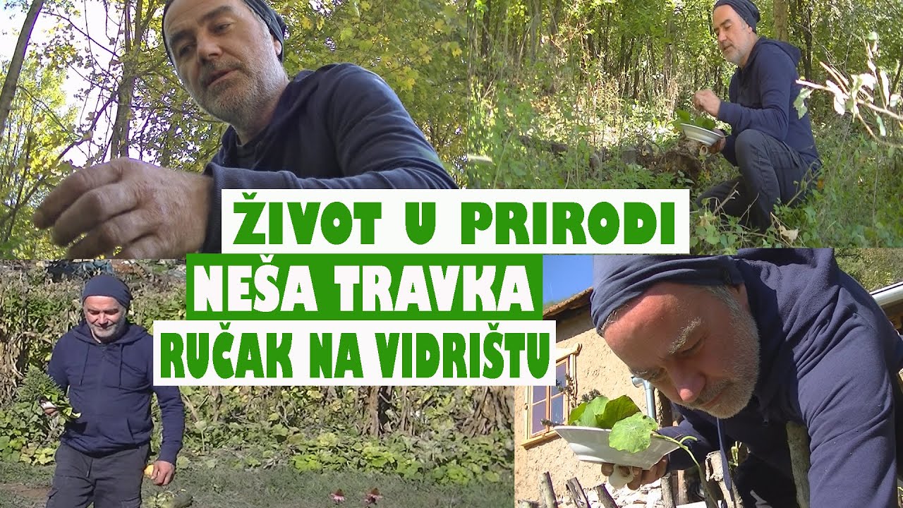 ŽIVOT U PRIRODI - NEŠA TRAVKA I RUČAK NA VIDRIŠTU (PRVA PRIČA) - YouTube
