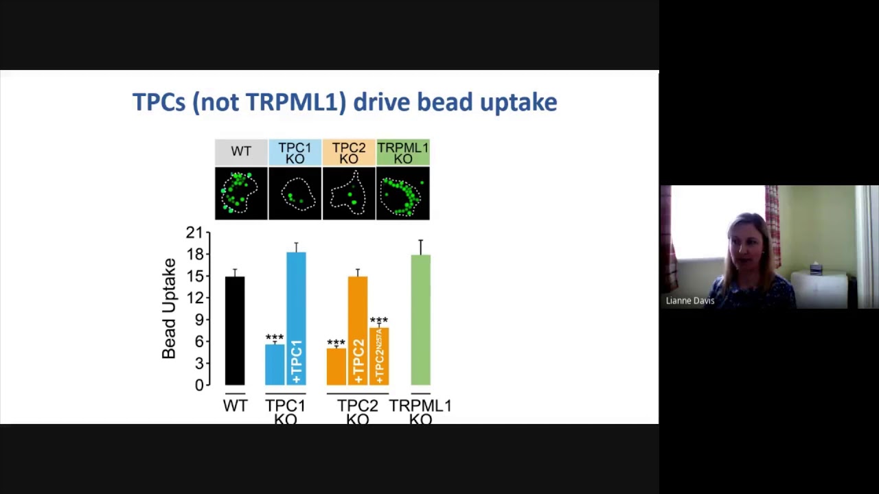 Lianne Davis' presentation at Open Calcium Conference 16th July 2022 ...