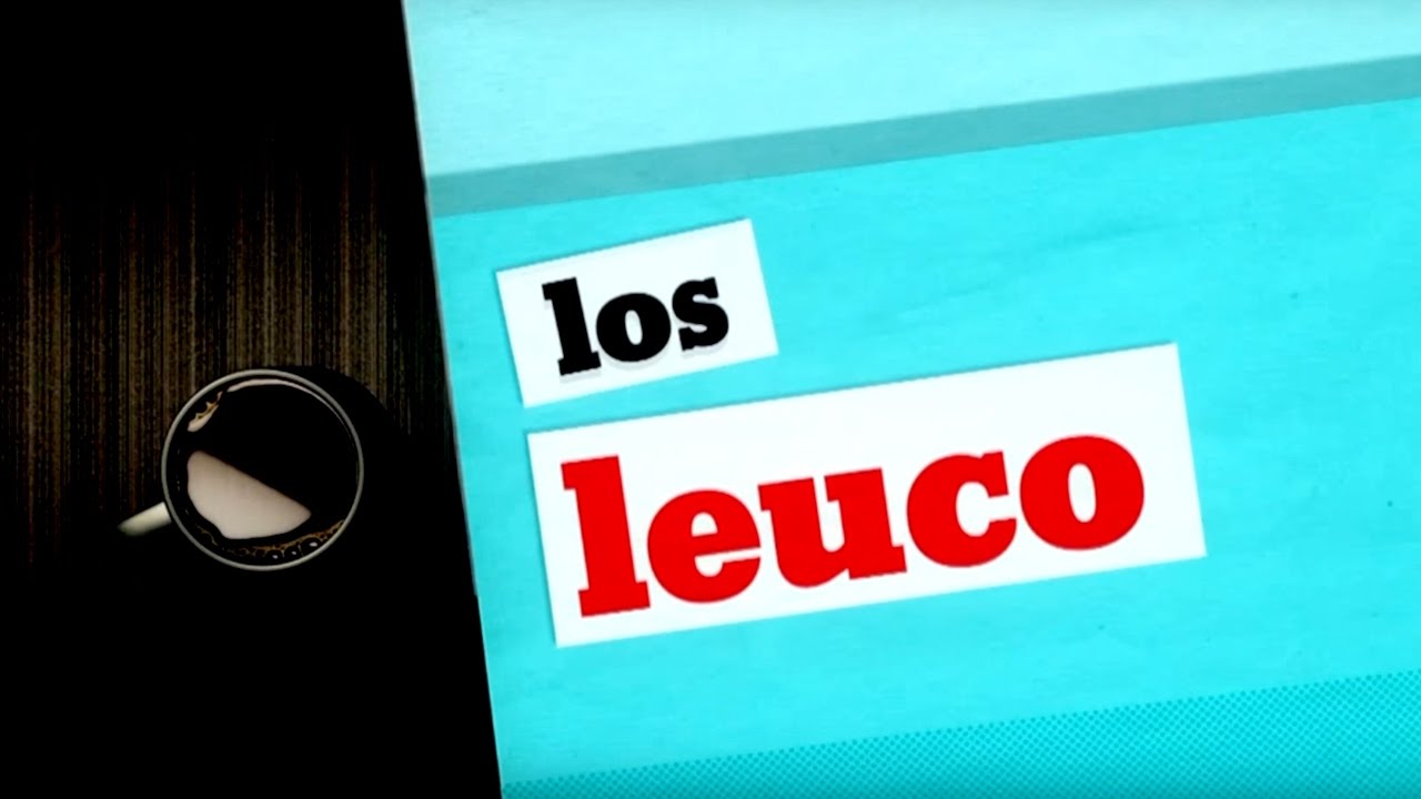 Los Leuco (11/04/2017) - YouTube