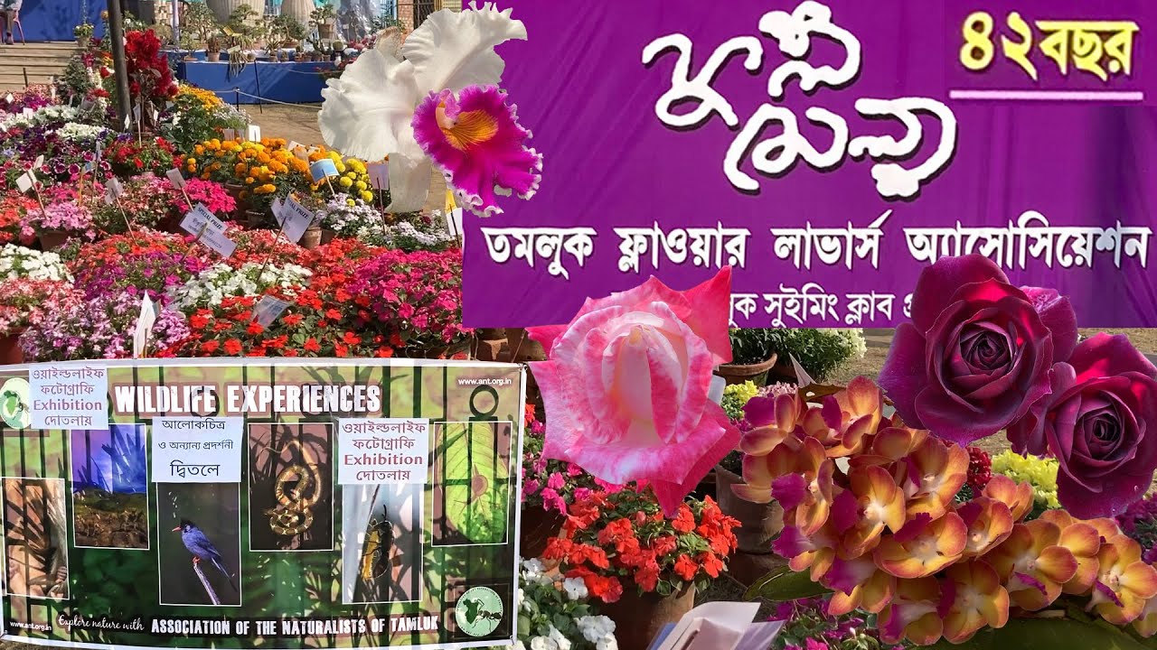 Tamluk Flower Show and Wildlife Photography Exhibition | 42Years! | one ...