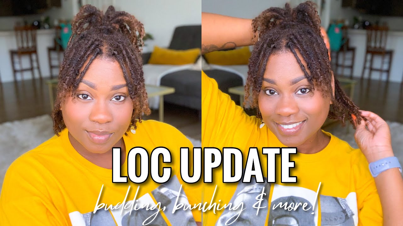 5-6 MONTH LOC UPDATE| STARTER LOC UPDATE| TWO STRAND TWIST STARTER LOCS ...