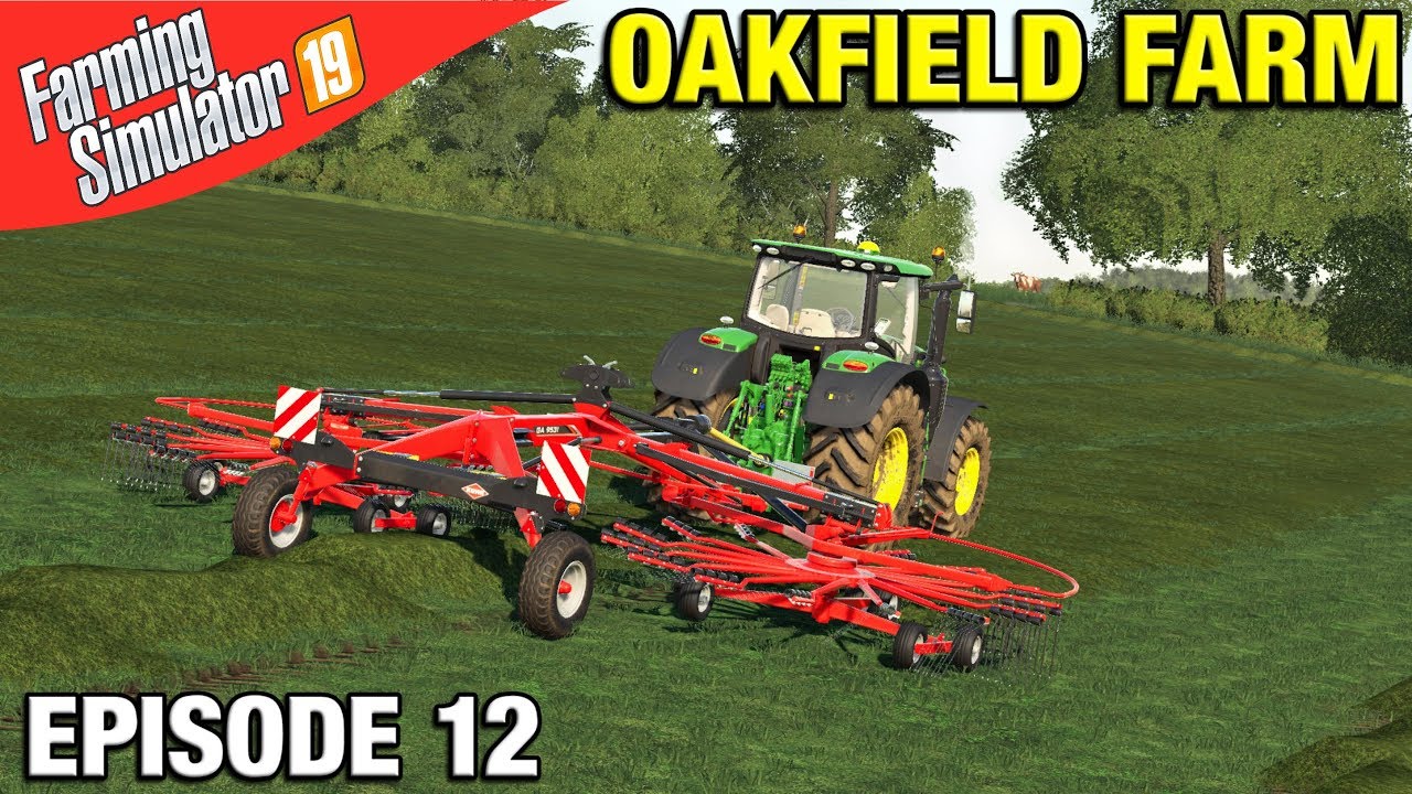 FOUND A NEW GRASS FIELD Farming Simulator 19 Timelapse - Oakfield Farm ...