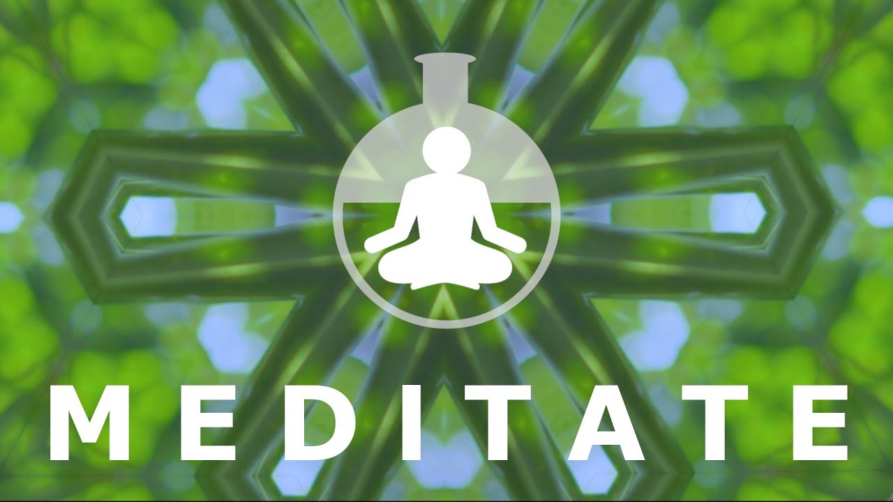Refreshing Morning Meditation | Soothing Drones and Glowing Leaves for ...
