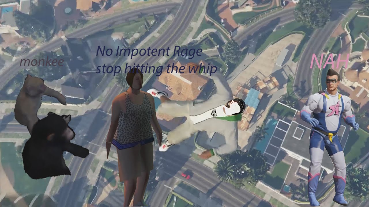 What Is Happening? - GTA 5 Chaos Mod V - YouTube