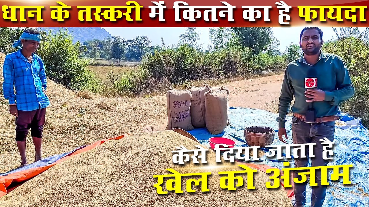 धान के तस्करी में कितने का है फायदा, खेल को कैसे दिया जाता है अंजाम ...