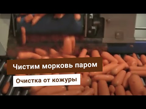Паровая чистка моркови. Оборудование для очистки картофеля и др. овощей, персика, папайи от кожуры.