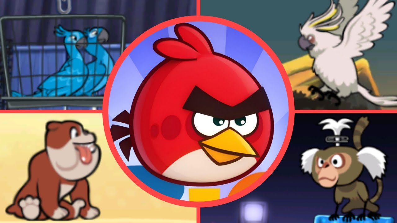 Angry Birds Rio Remake - All Bosses (Luta dos Bosses) - YouTube