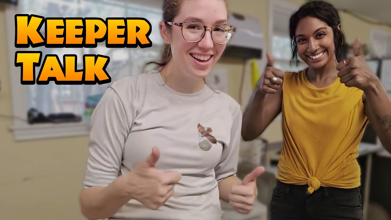 Checking Out The New Enclosure | Keeper Talk - YouTube