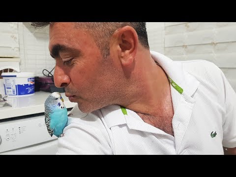 PAŞA VE BABAMIN AŞKI